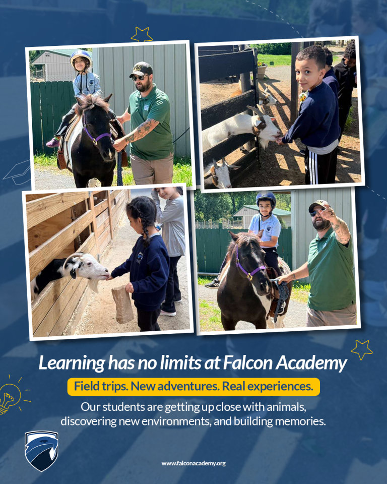 Falcon Academy – Private School